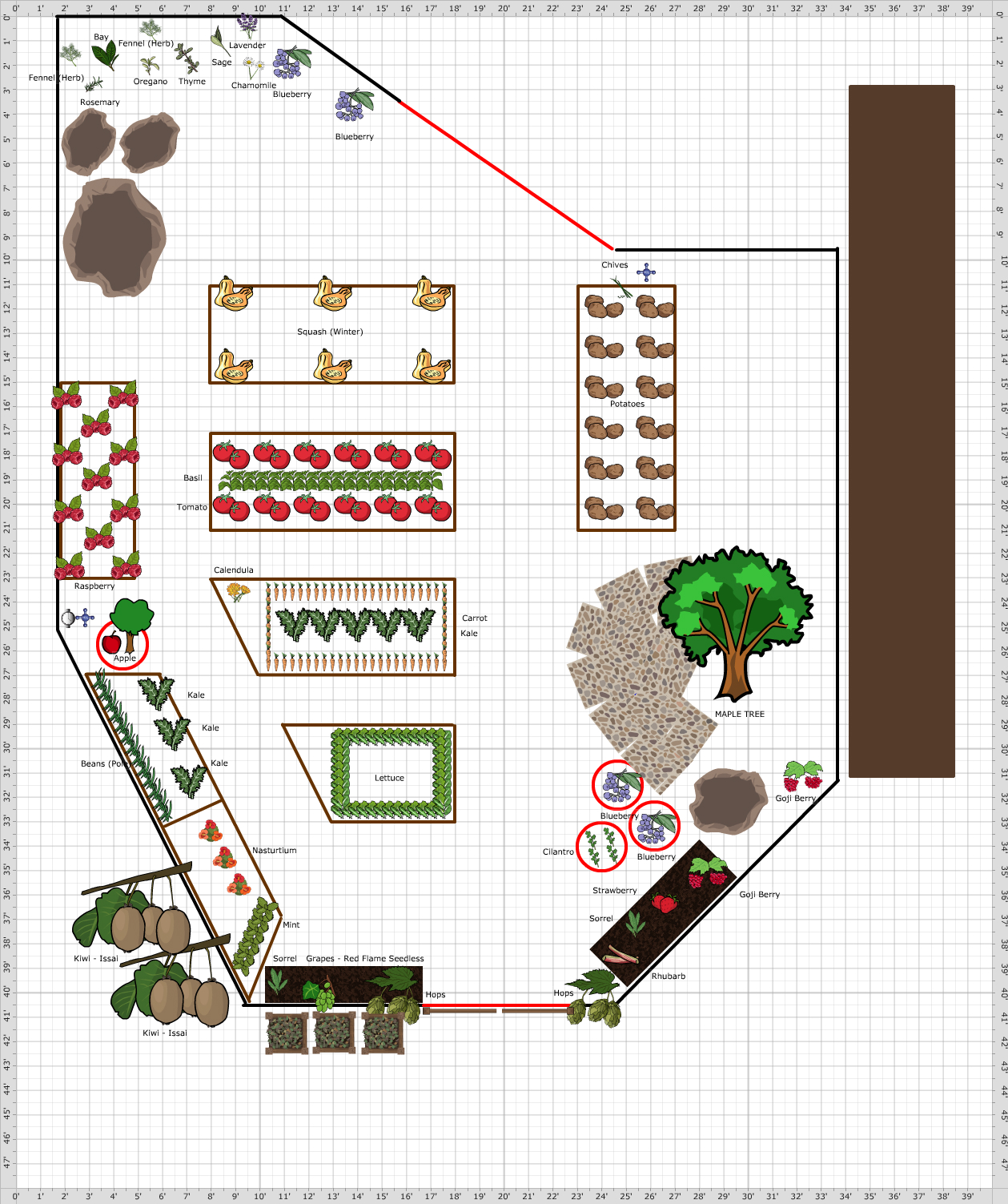 Garden Plan - 2020: REVISED Mixal
