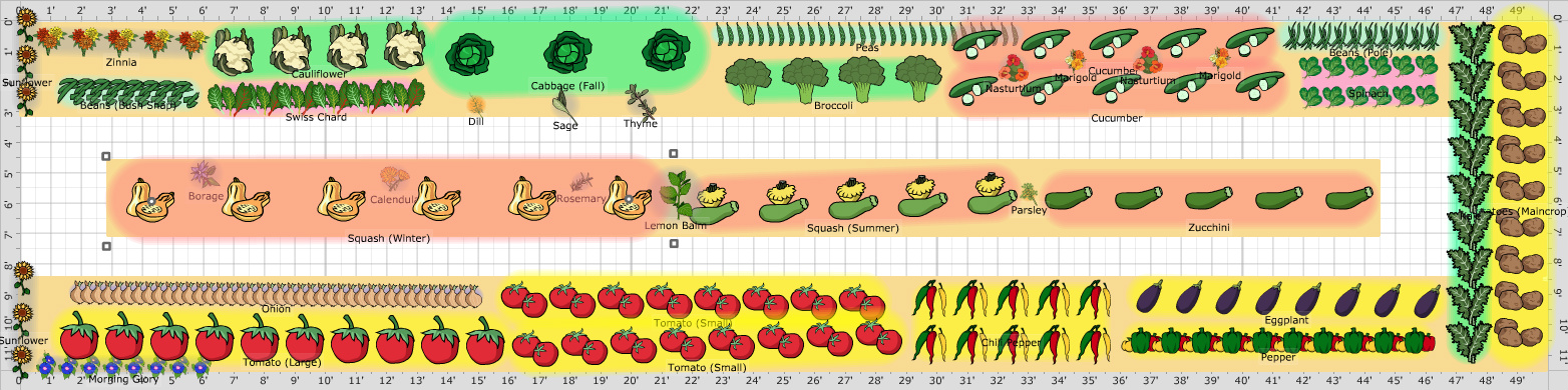 Garden Plan - 2020: 3 row plan