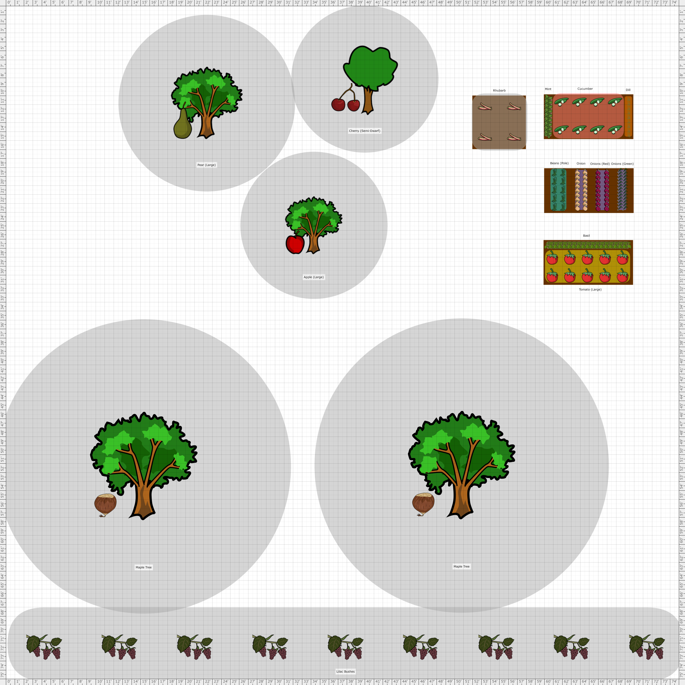 Garden Plan - 2020: Kubesh Backyard Garden