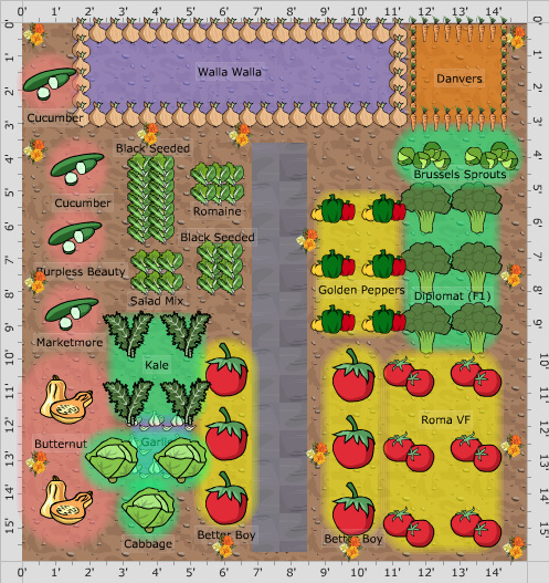 Garden Plan - 2020: Backyard Veggie Garden