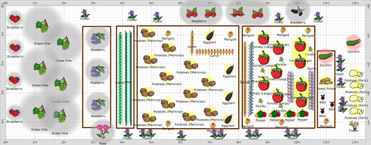Garden Plan - 2020: my veg garden
