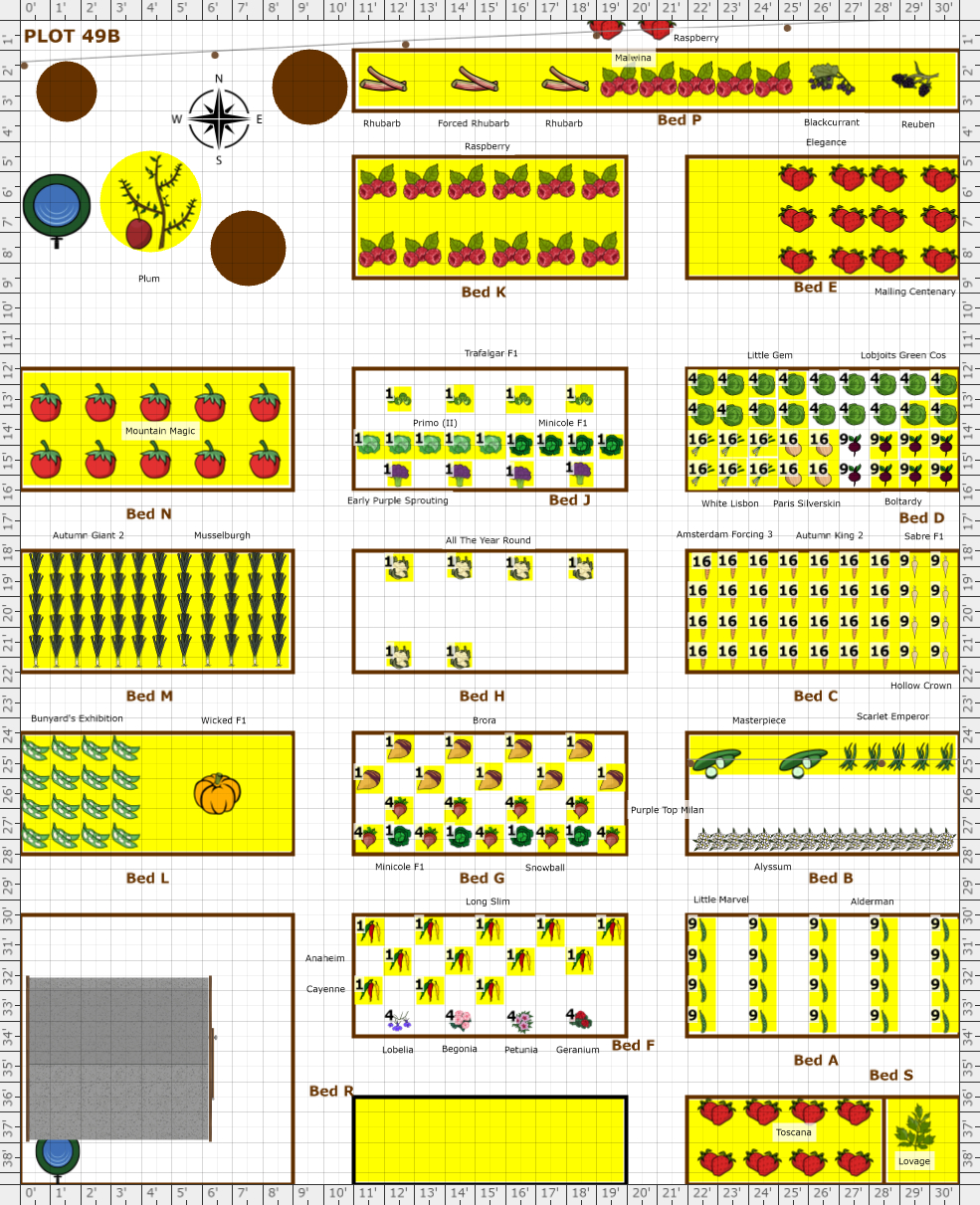 Garden Plan - 2021: Plot 49B