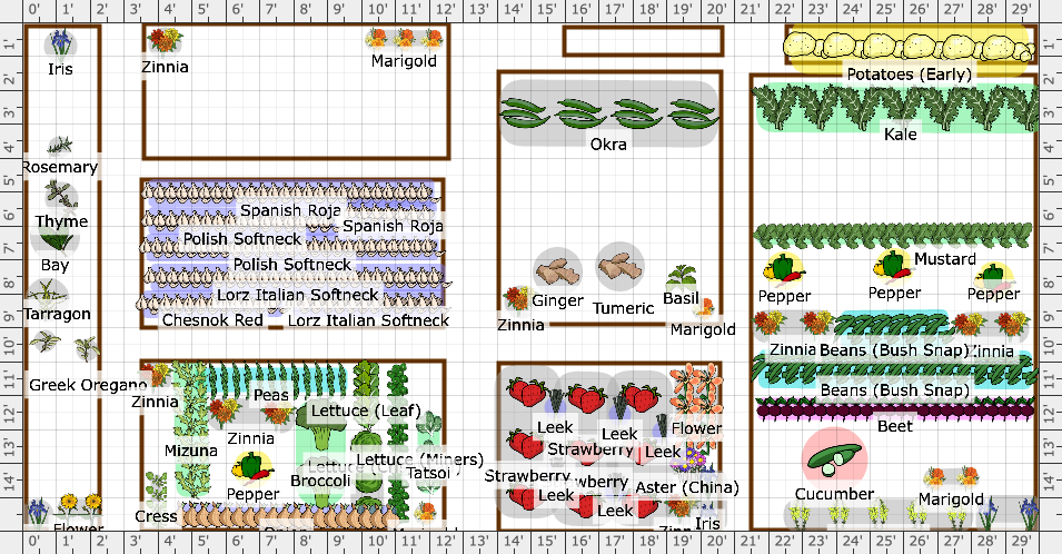 Garden Plan - 2021: Clifton