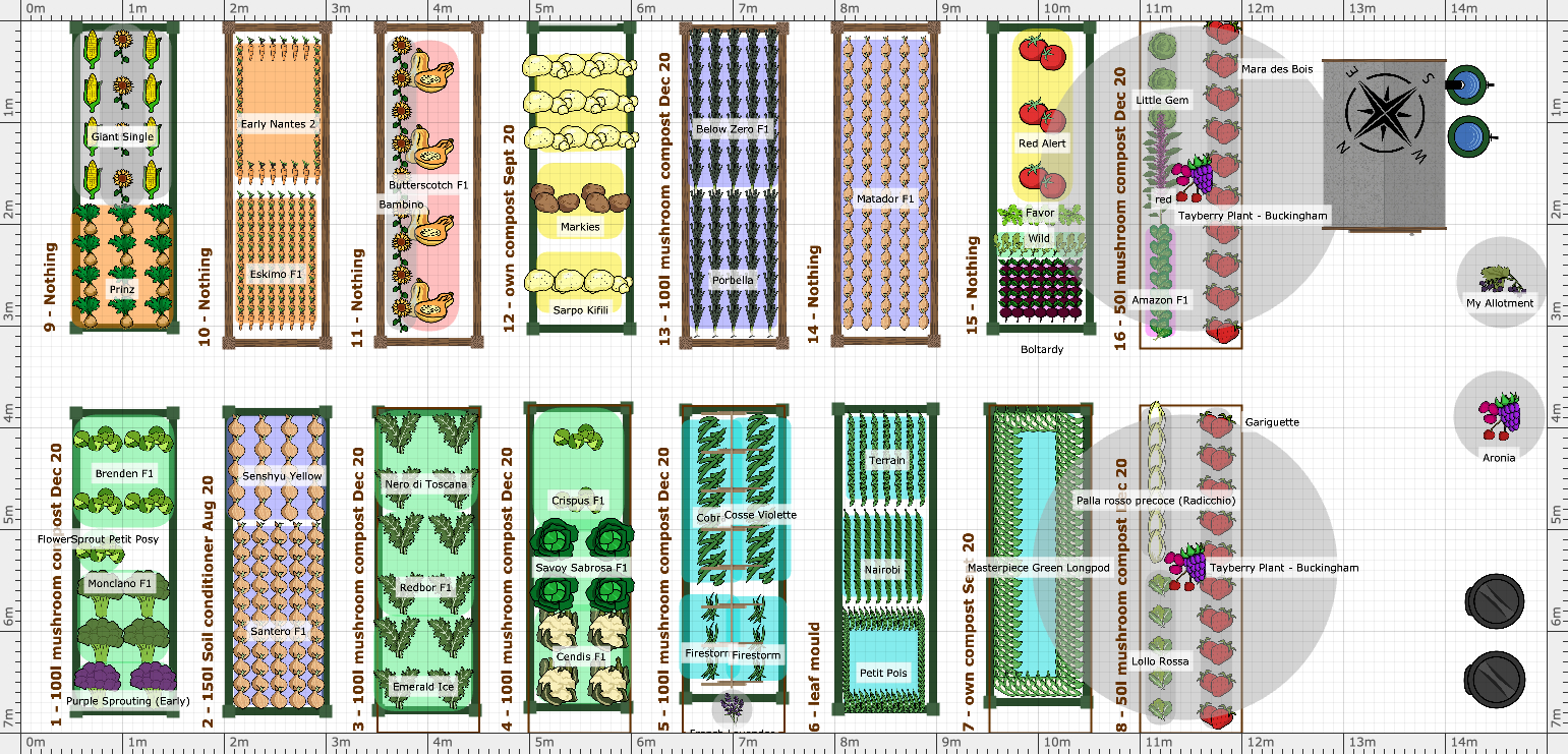 Garden Plan - 2021: Kate's Allotment