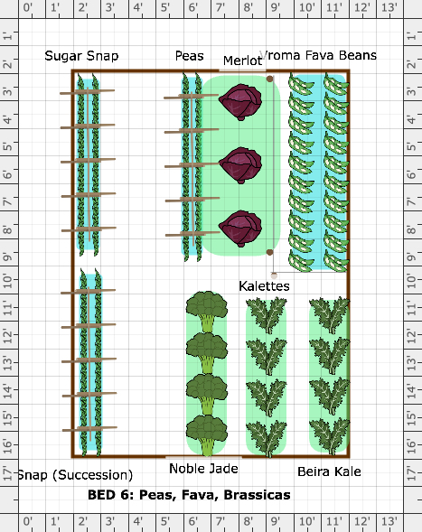 Garden Plan - 2021: Bed 6
