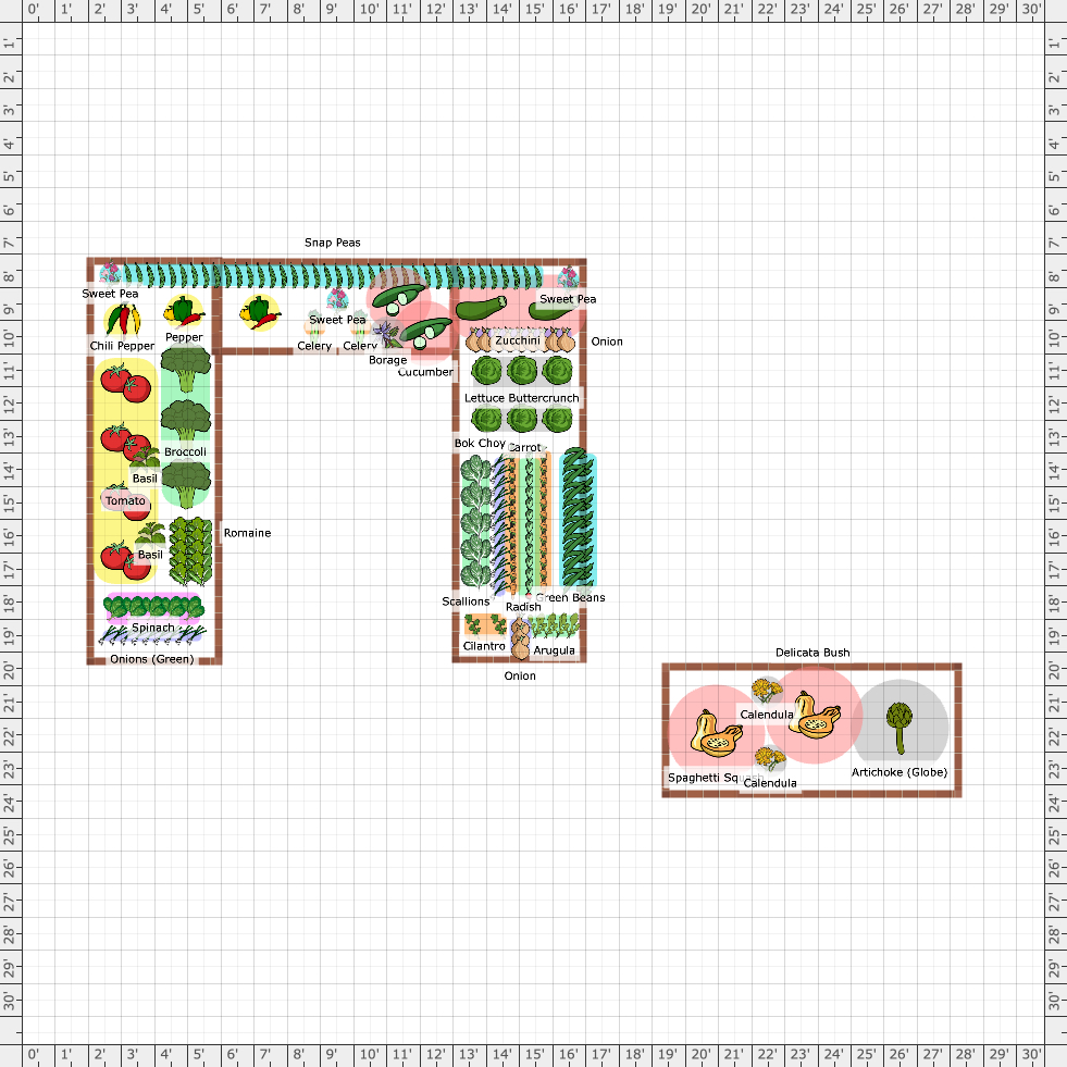 Garden Plan - 2021: Carter Kemp