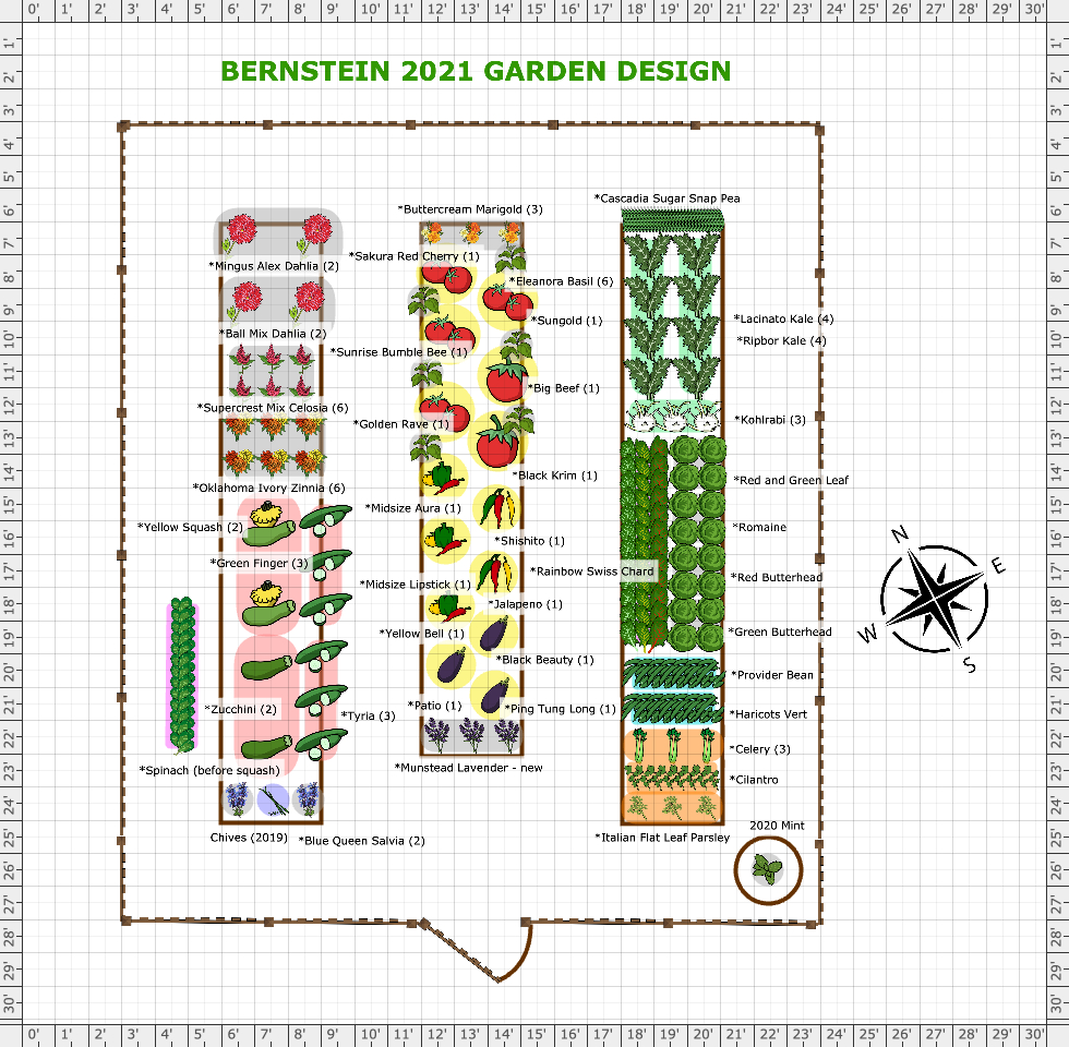 Garden Plan - 2021: Bernstein, Lauren