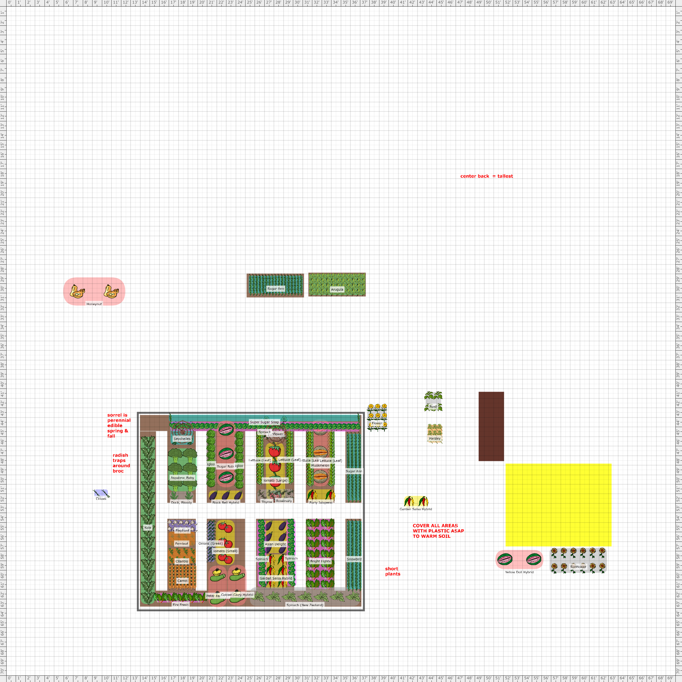 Garden Plan - 2021: 2021 Backyard