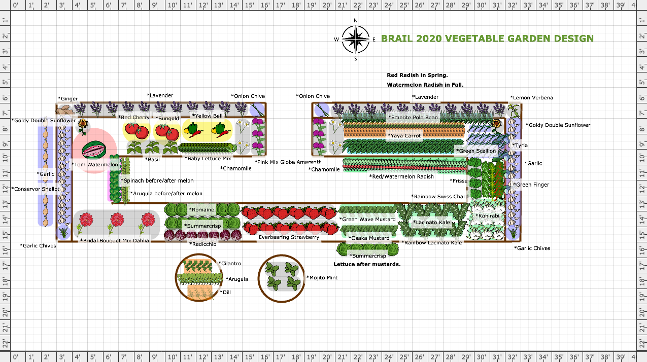 Garden Plan - 2021: Brail