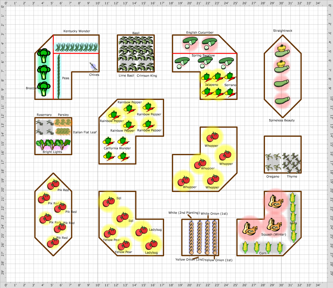 Garden Plan - 2012: Garden