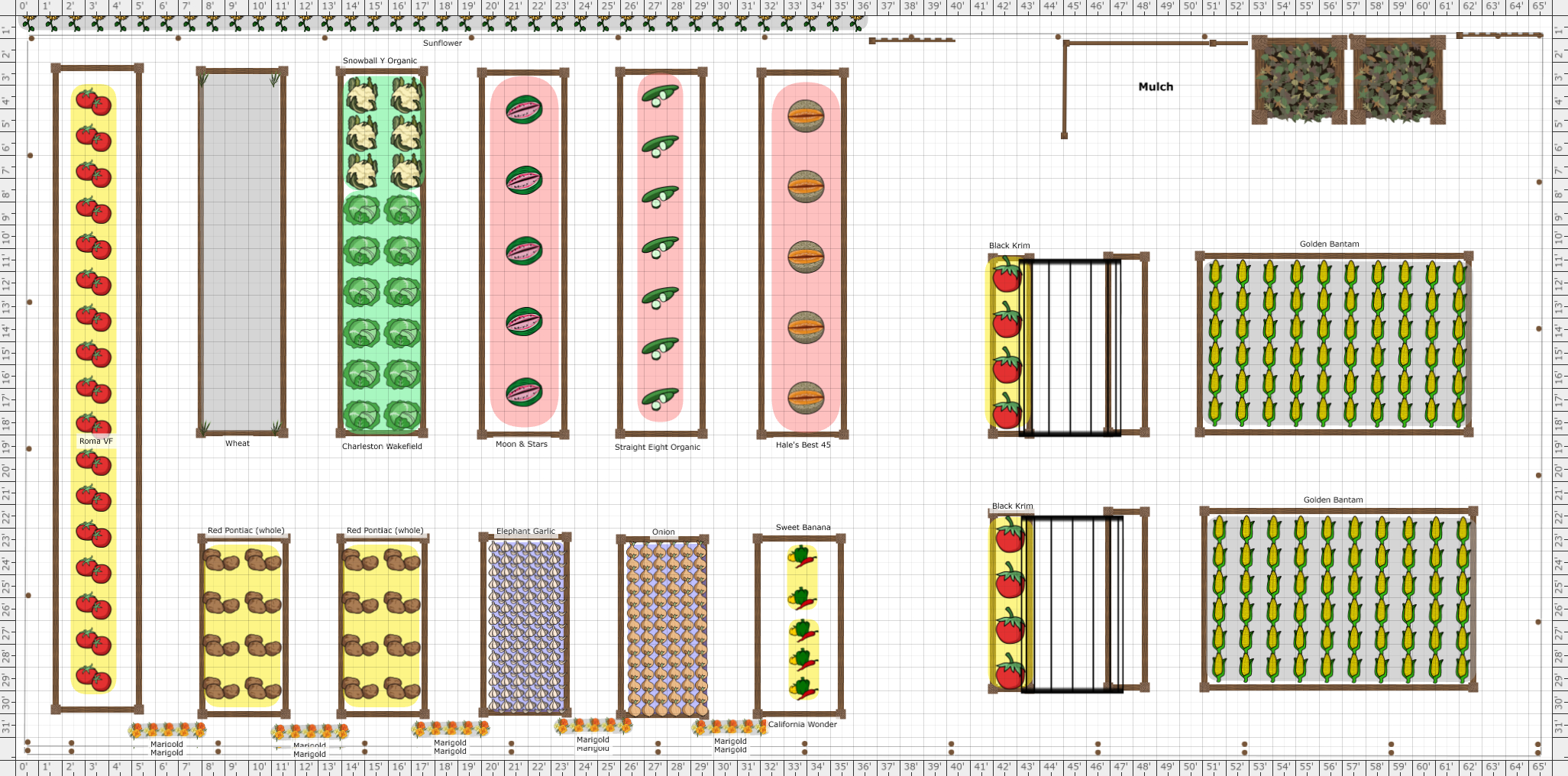 Garden Plan - 2022: Garden 2022