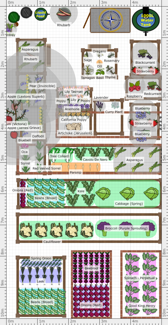 Garden Plan - Allotment Plot