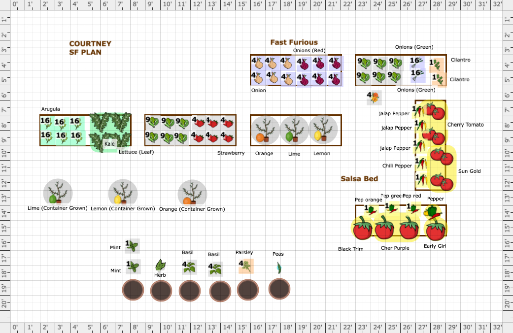 Garden Plan - 2022: SF 2 Courtney