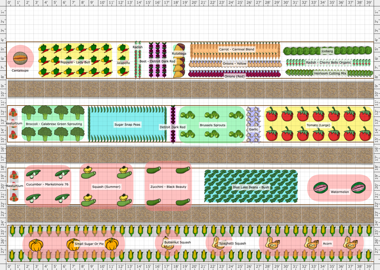 Garden Plan - 2023: CR 118 - Row Garden