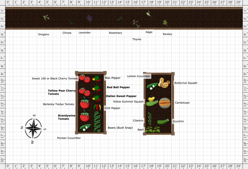 Garden Plan - 2012: Peony Klaiber