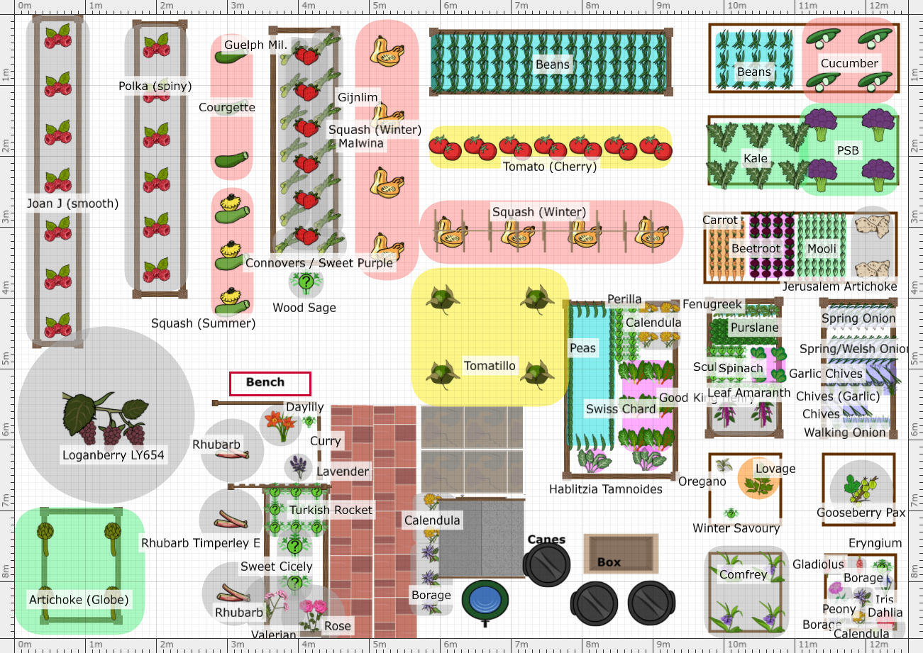 Garden Plan - 2023: Allotment