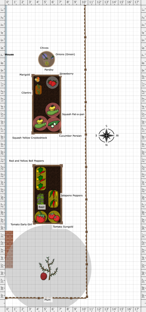 Garden Plan - 2028: Elizabeth Moulds New Beds