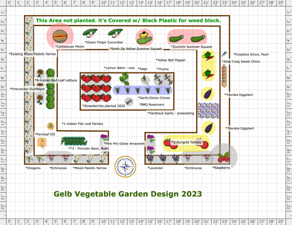 Garden Plan - 2023: Gelb