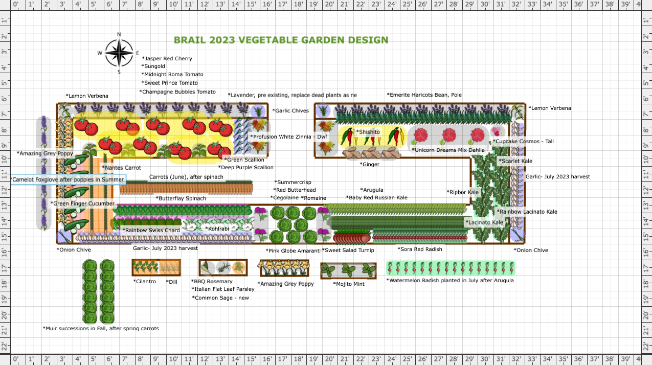 Garden Plan - 2023: Brail