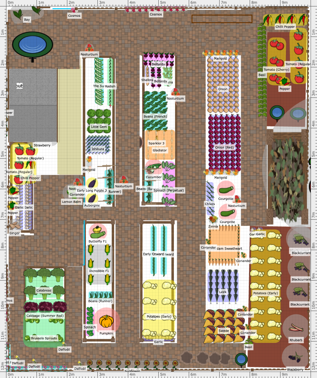 Garden Plan - Robsons allotment