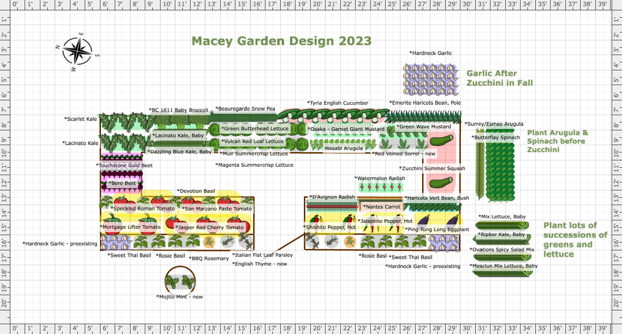 Garden Plan - 2023: Sharon Macey