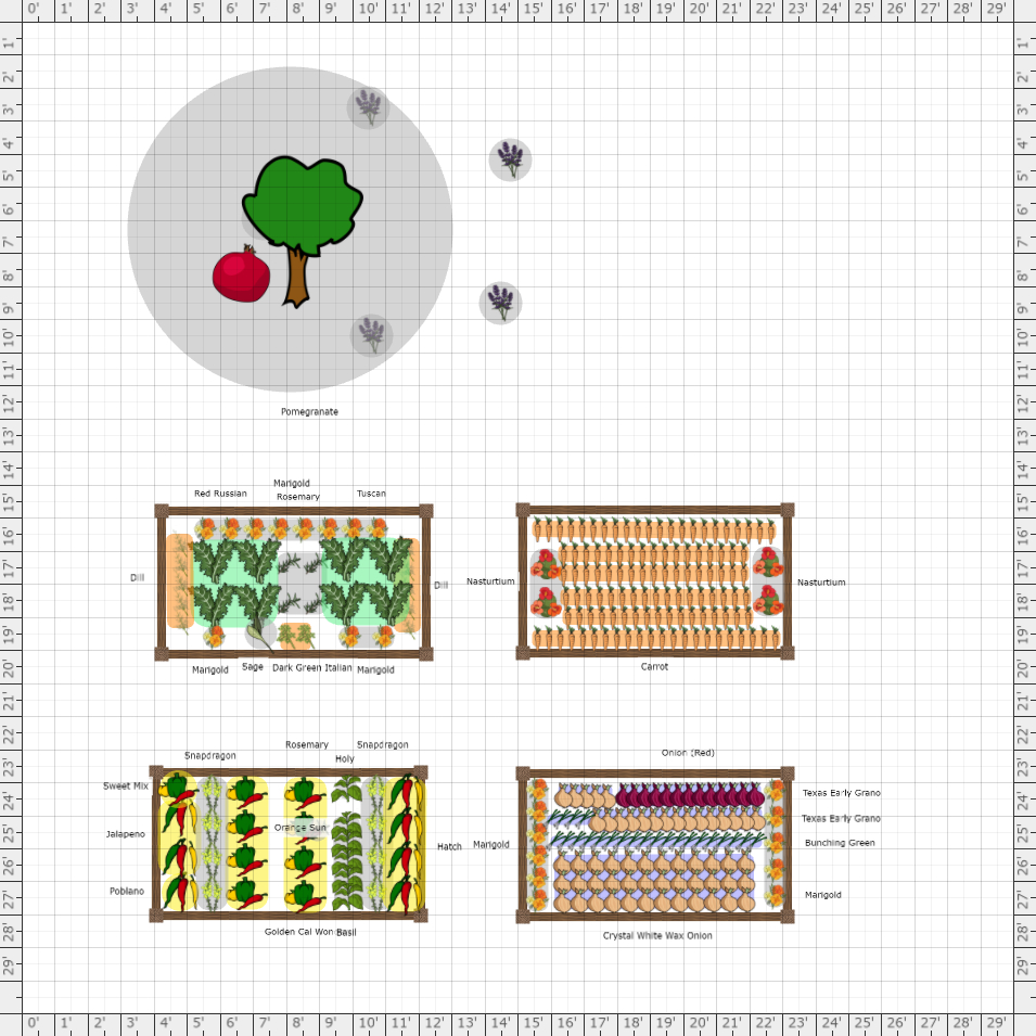 Garden Plan - 2023: Tucson, AZ Spring 2023