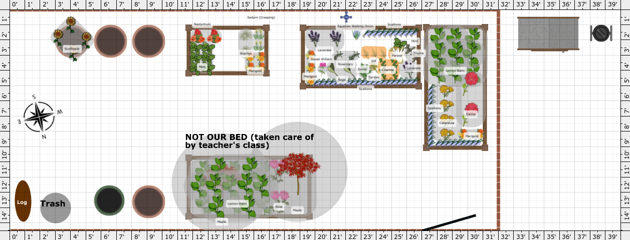 Garden Plan - 2024: Rafael Hernandez