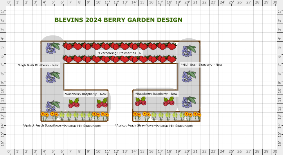 Garden Plan - 2024: Blevins berry