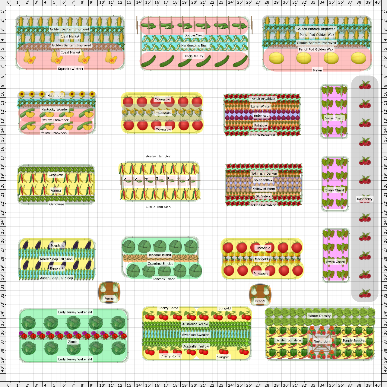 Garden Plan 2025 Main Garden