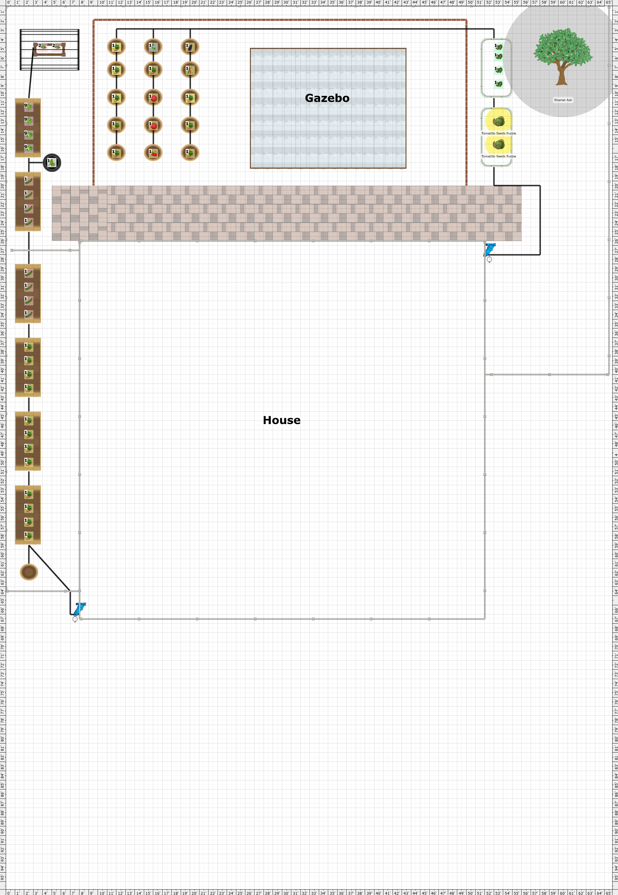 Garden Plan - 2025: 2025 Spring