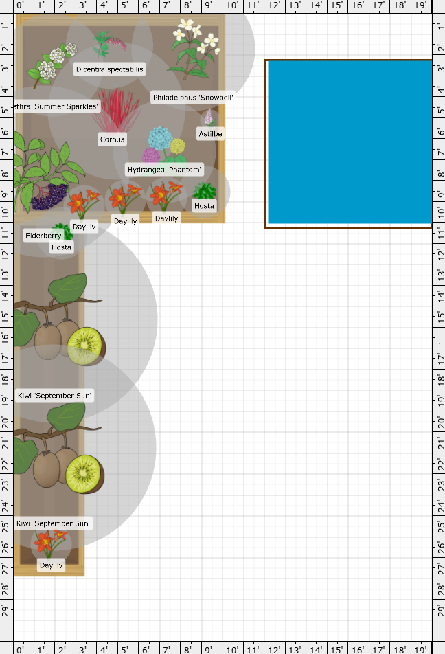 Garden Plan - 2025: Sylvianne Bouchard arrière Juin 2025