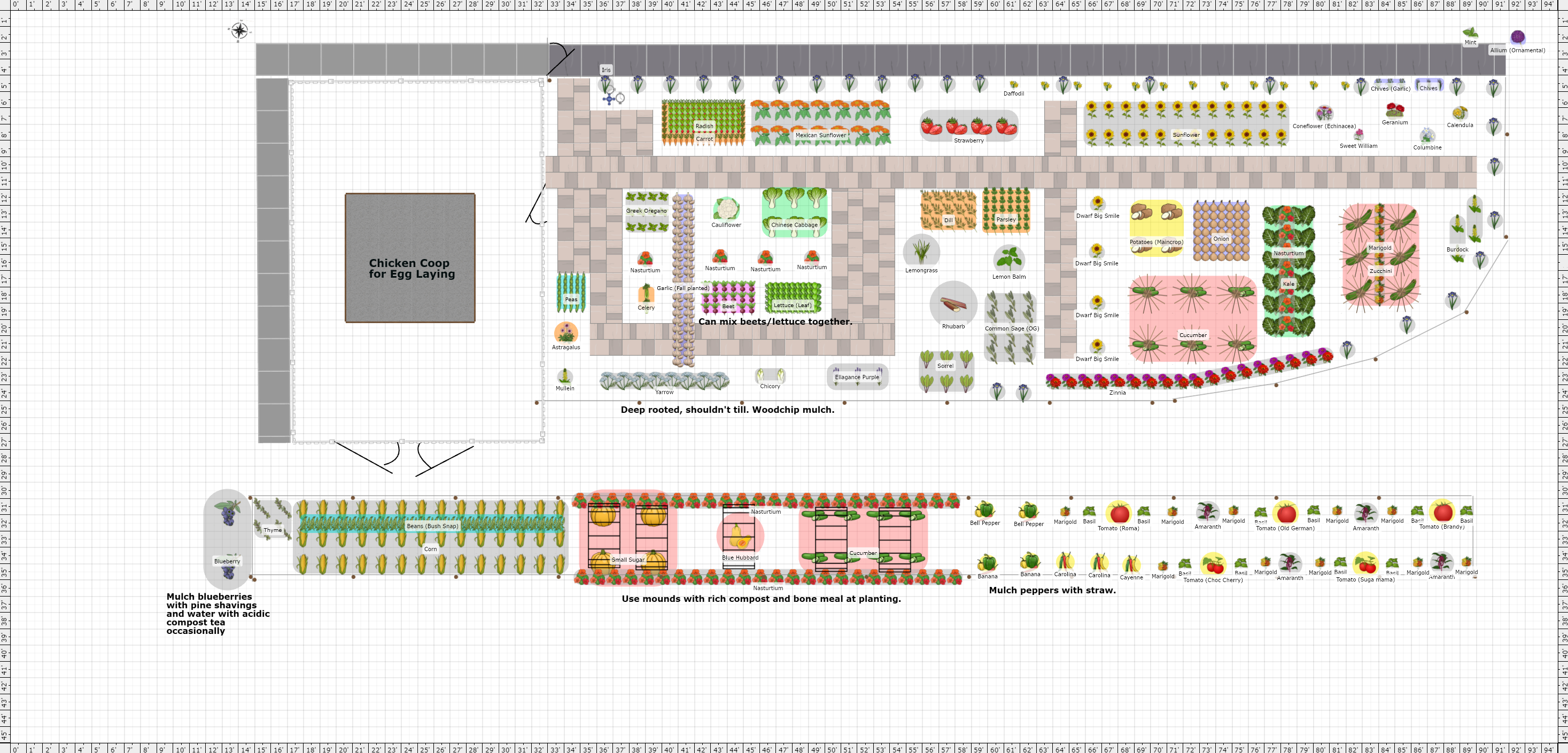 Garden Plan 2025 Garden