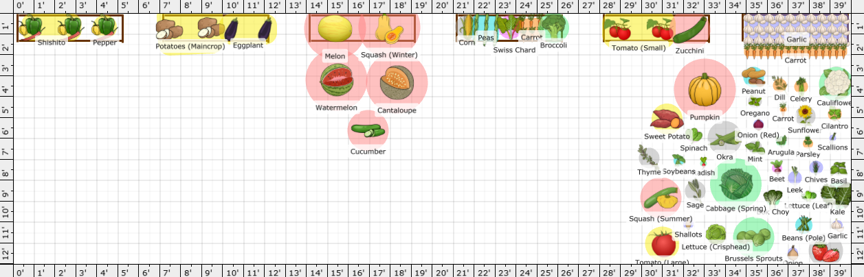 Garden Plan - 2026: Anne Hoboken Patio Garden
