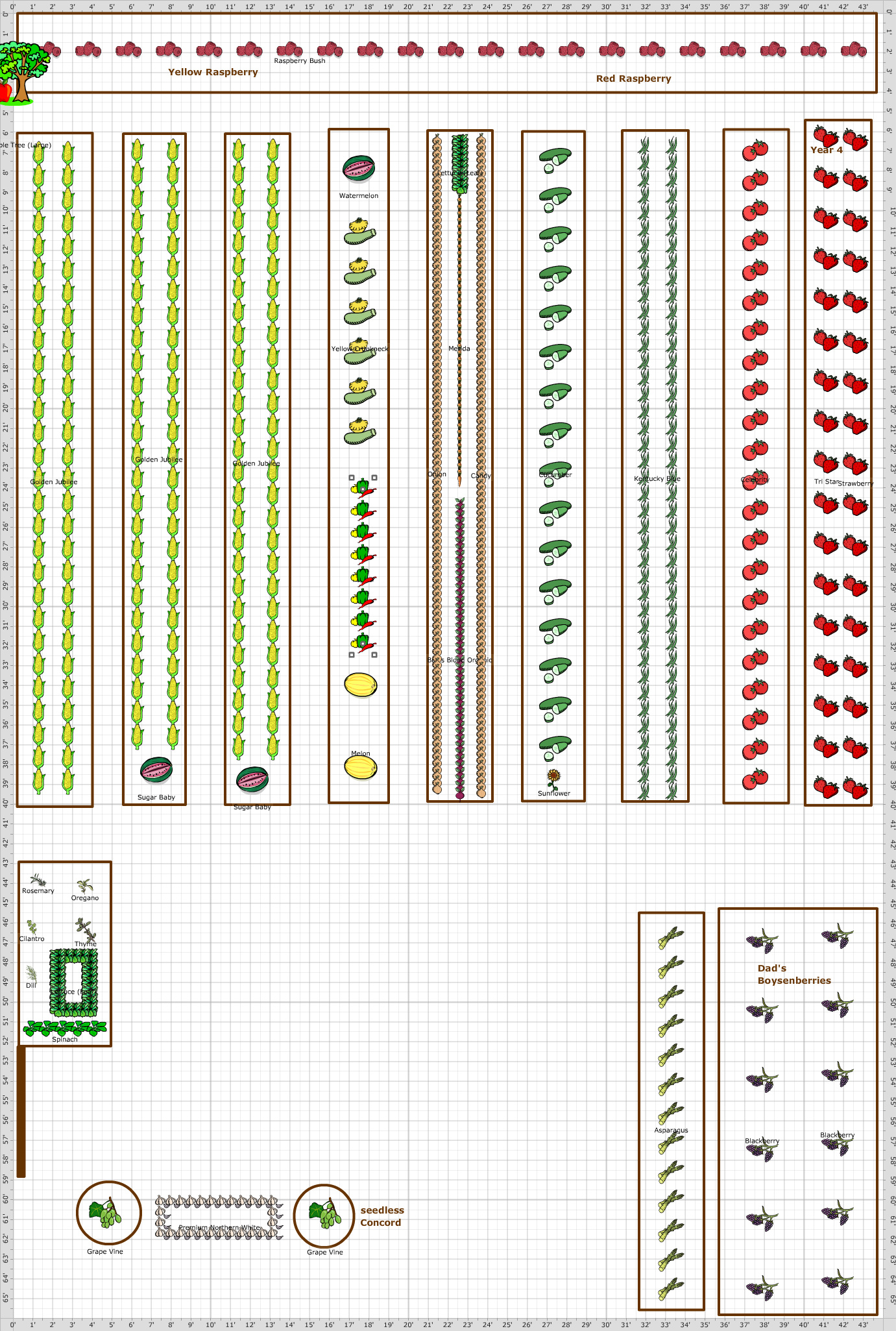 Garden Plan - 2012: Main Garden