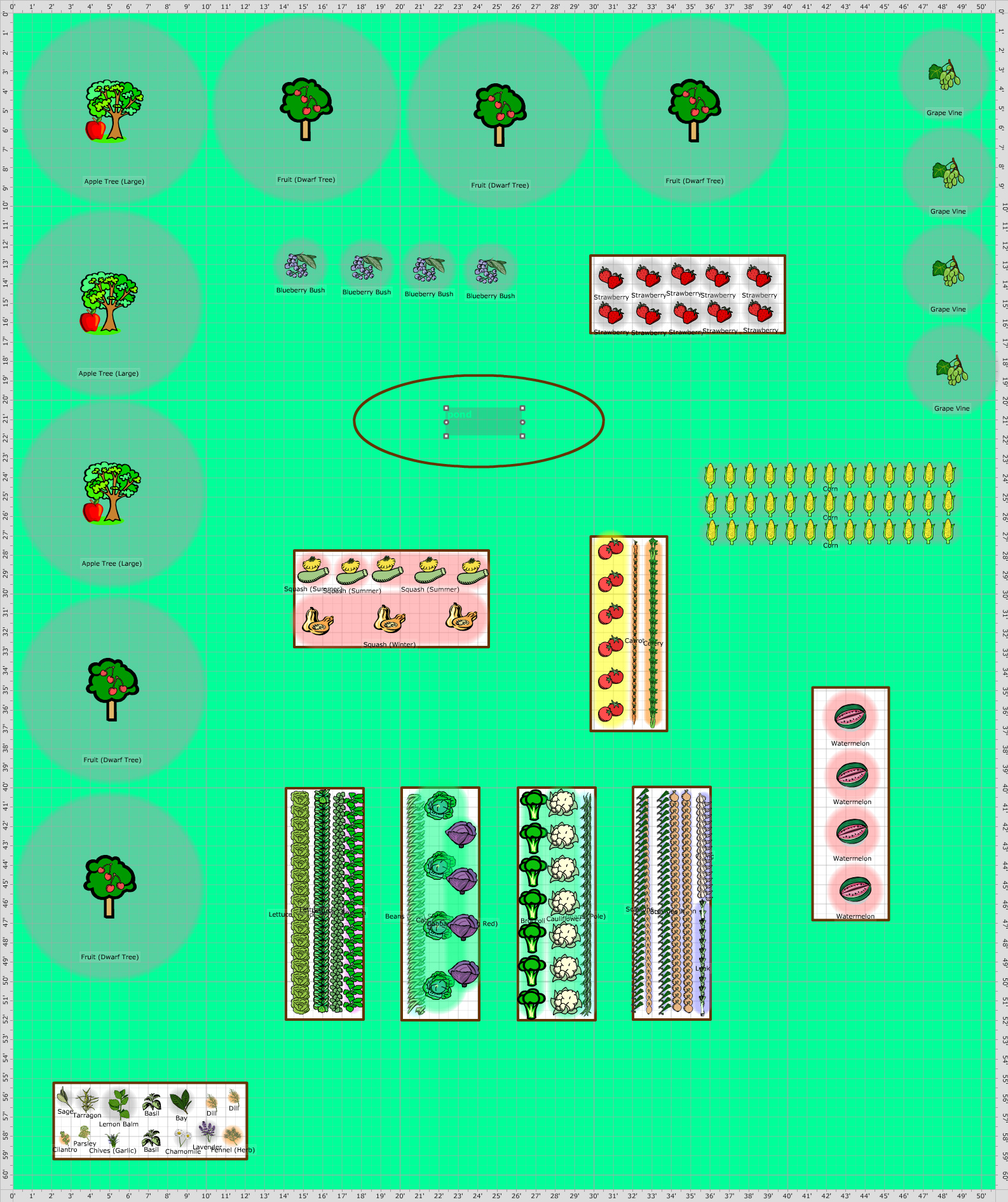Garden Plan - 2012: Untitled2
