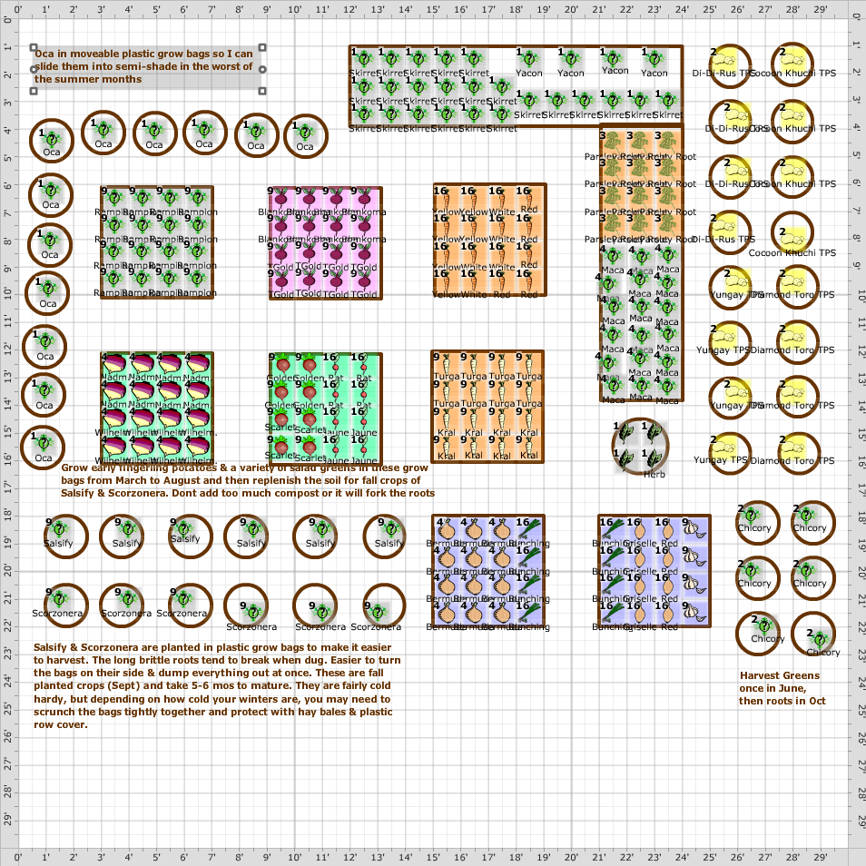 Garden Plan - 2012: raised beds - root crops