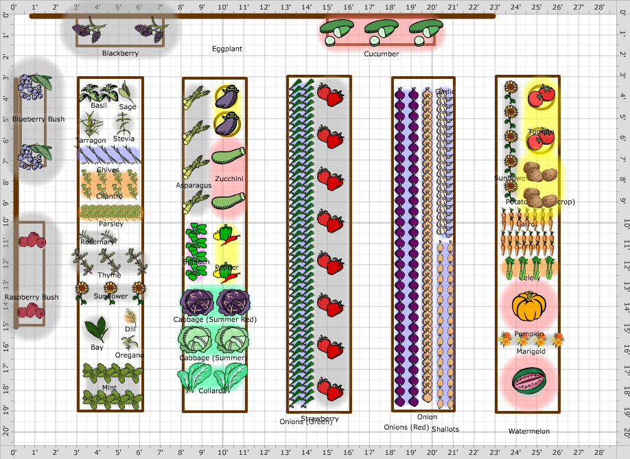Garden Plan - 2012: Macgregor 1