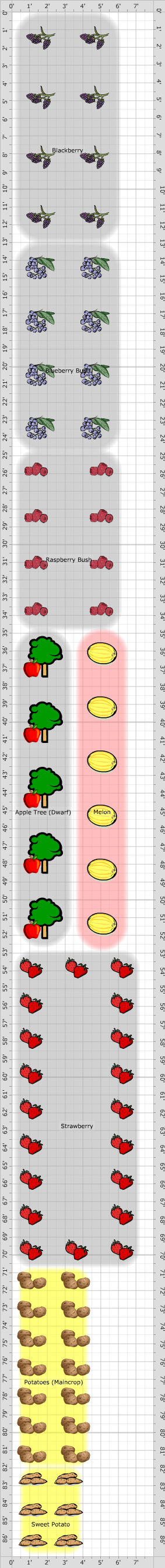 Garden Plan - 2012: Fruit - Sun
