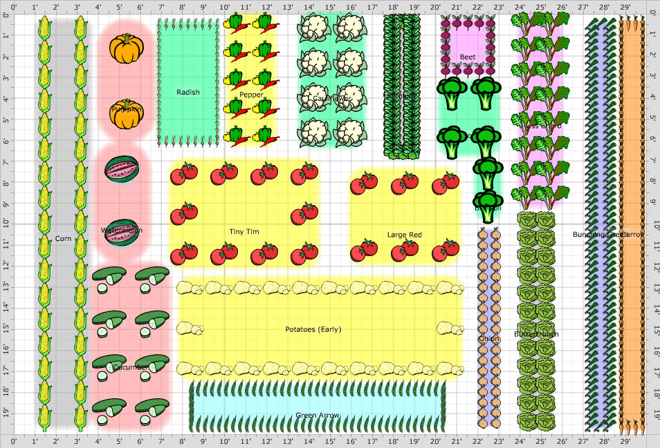 Garden Plan - 2012: Back Yard Guarden