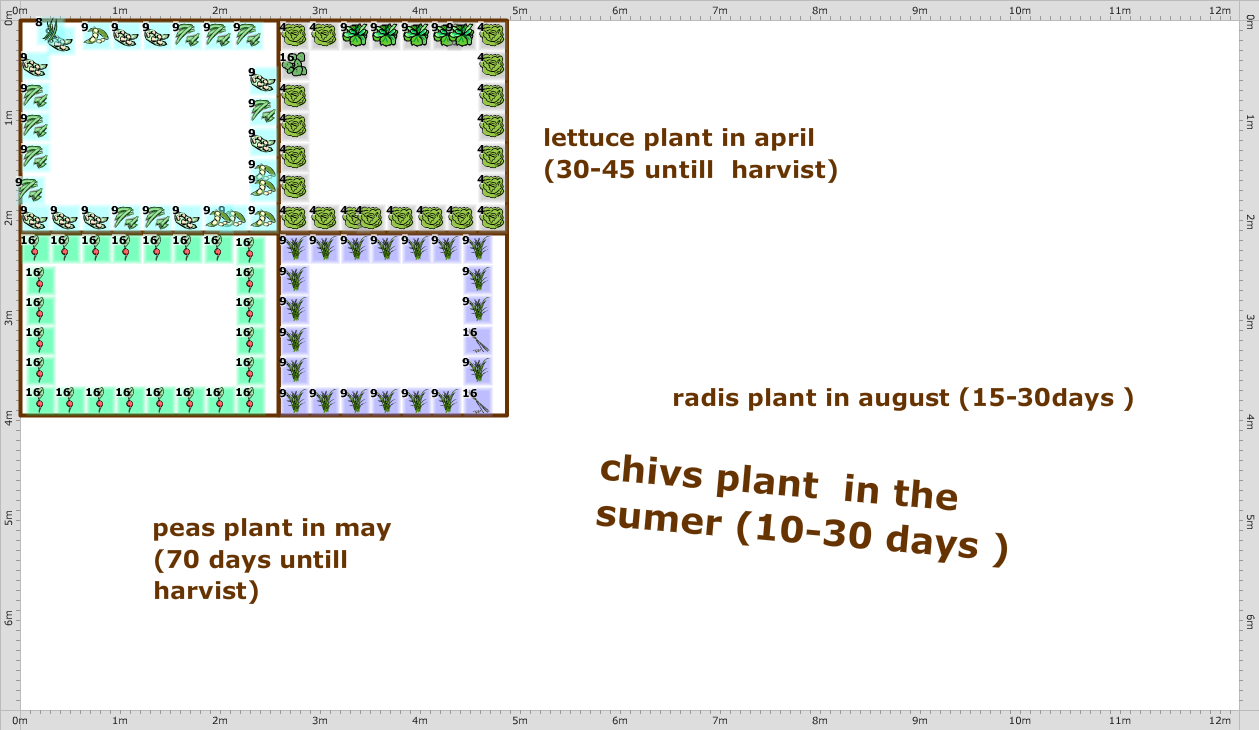 Garden Plan - 2012: Untitled2