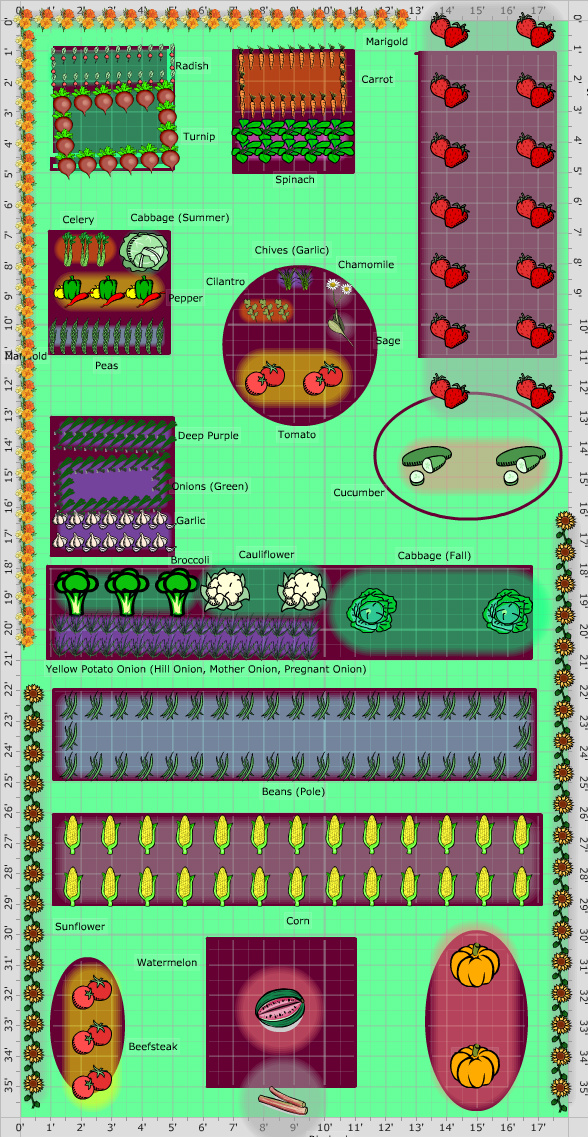 Garden Plan - 2012: Untitled1