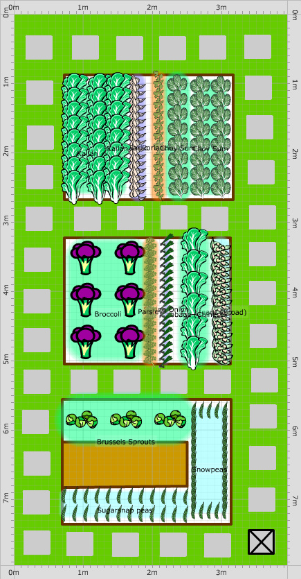 Garden Plan - 2012: My Backyard Veggie Patch