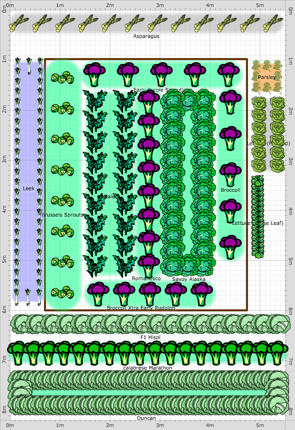 Garden Plan - 2012: Allotment plot 1 Top Revised