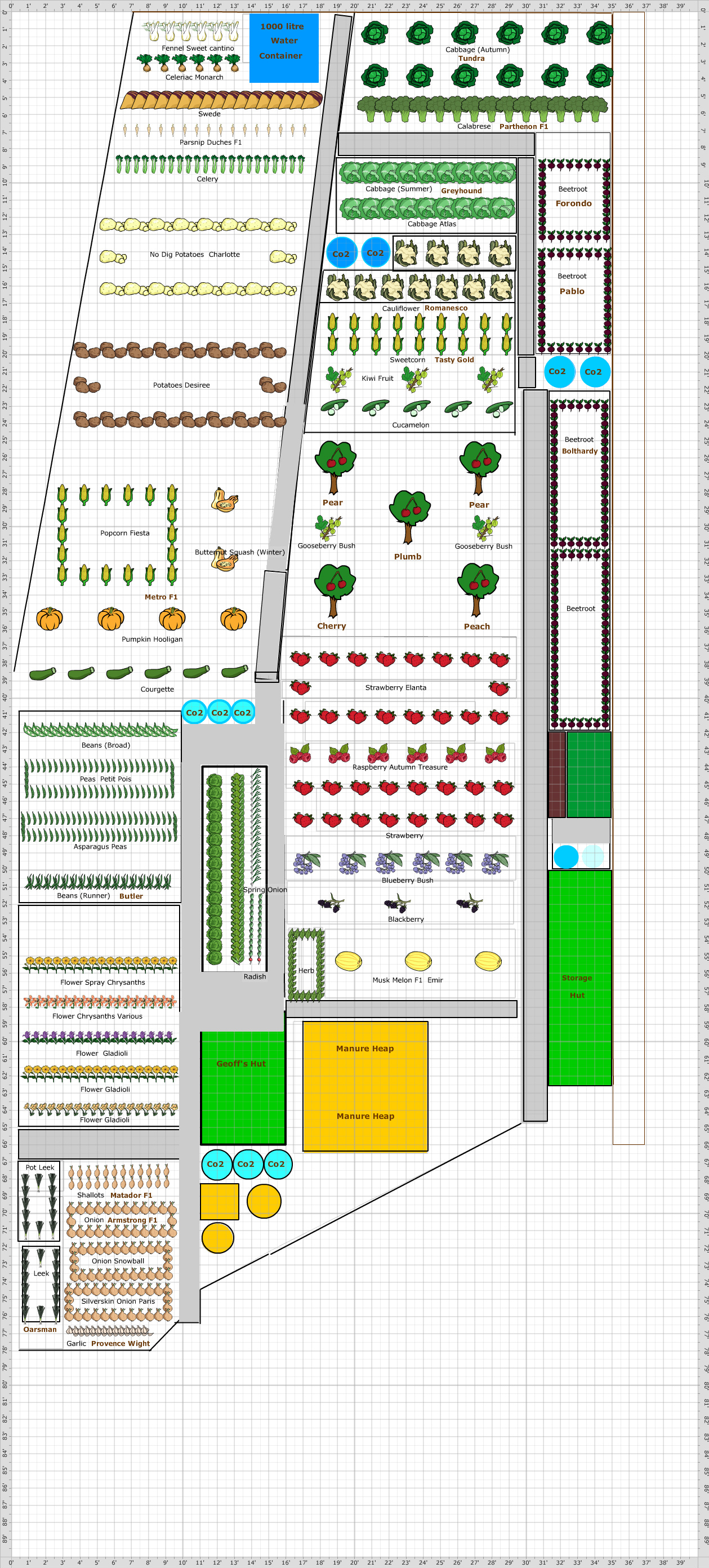 Garden Plan - 2013: 2013