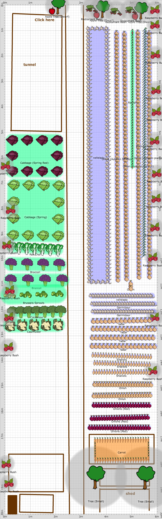 Garden Plan - 2013: allotment 2