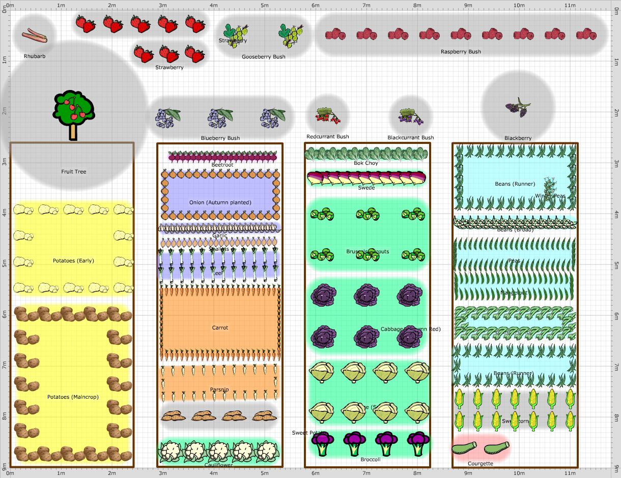Garden Plan - 2013: Allotment