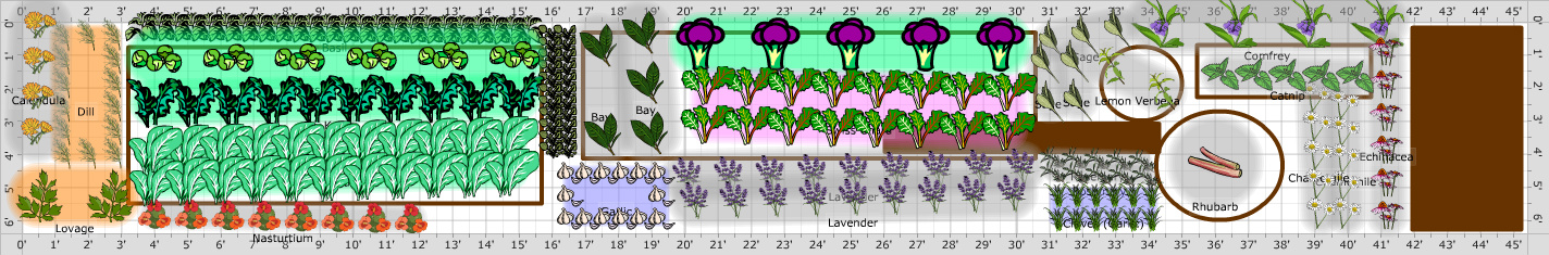 Garden Plan - 2013: hamilton
