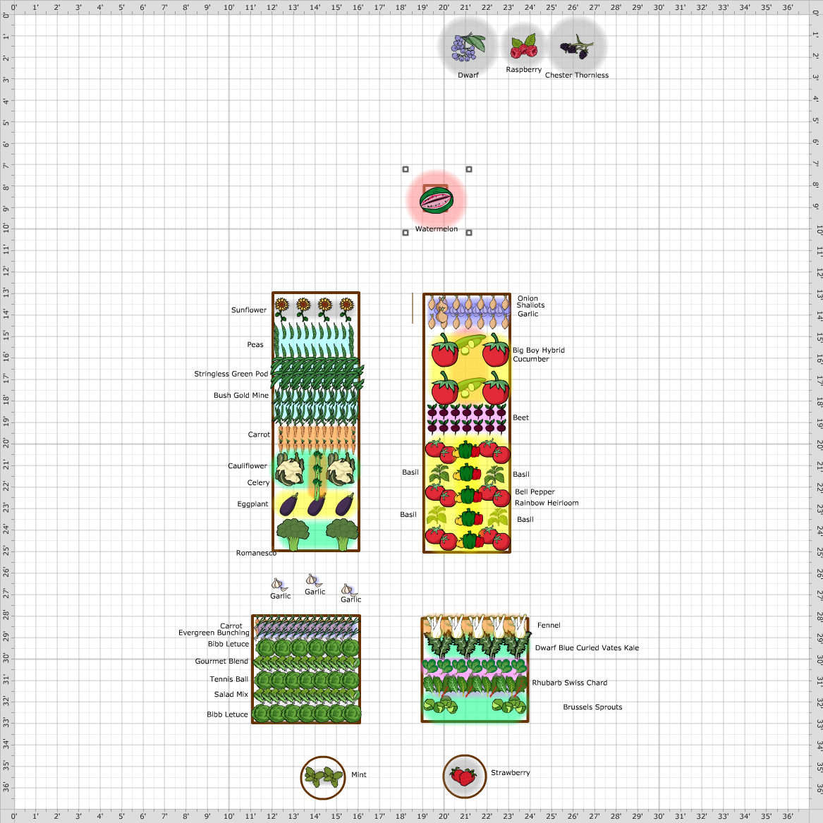 Garden Plan 2014 Spring Summer