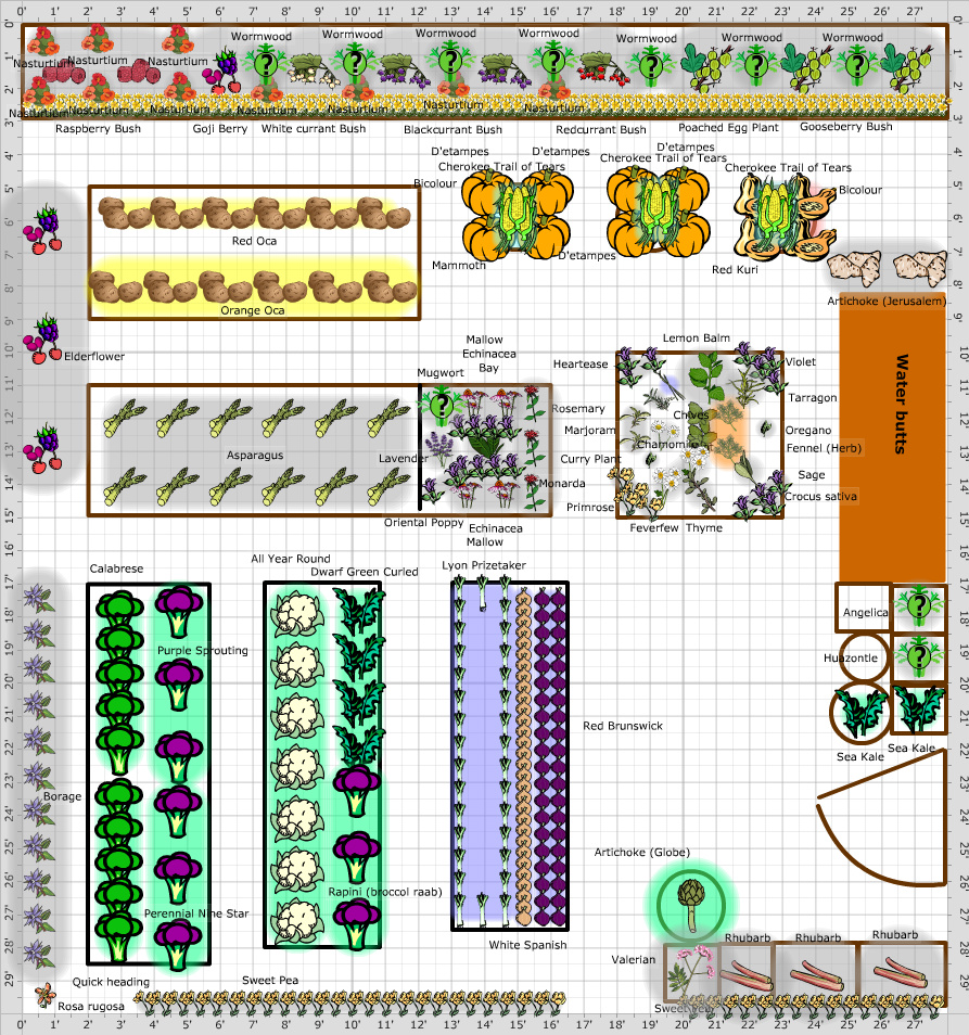Garden Plan - 2013: Vegetable patch