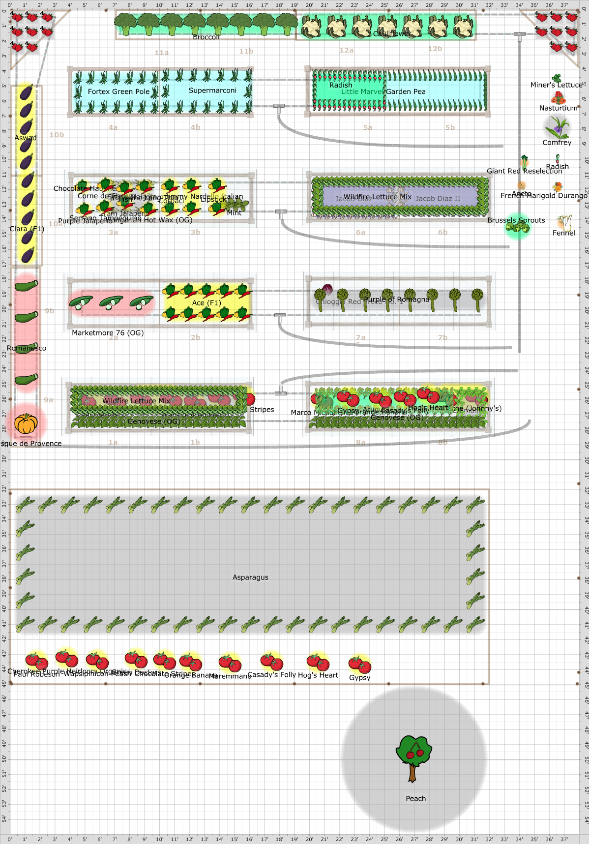 Garden Plan - Indian Spring